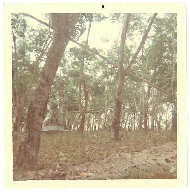 015 track 1 3 Ben Cui